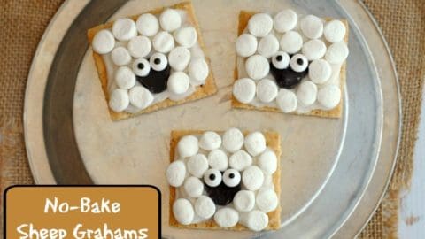 No-Bake Sheep Animal Cookies - Dancing Through the Rain