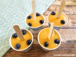 Blueberry Peach Popsicles (2 Ingredients!) - Dancing Through the Rain