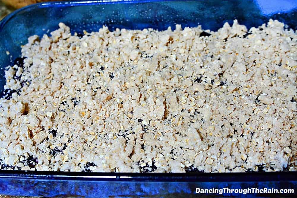 Blueberry Dessert Bars - Dancing Through the Rain