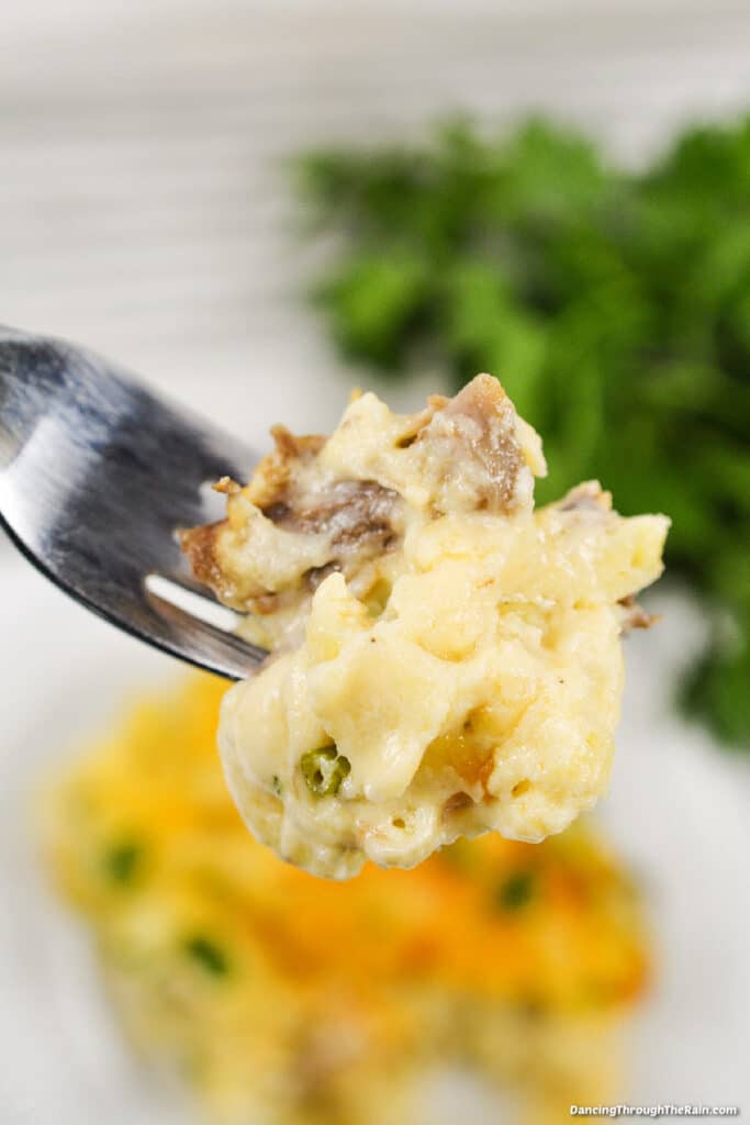 Short Rib Mac And Cheese (With Leftover Short Ribs!) - Dancing Through ...